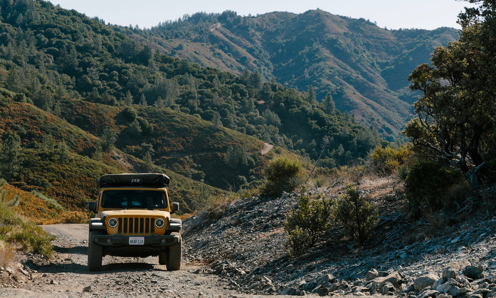 Vehicle Phone Mounts That Work | Offroam Canada